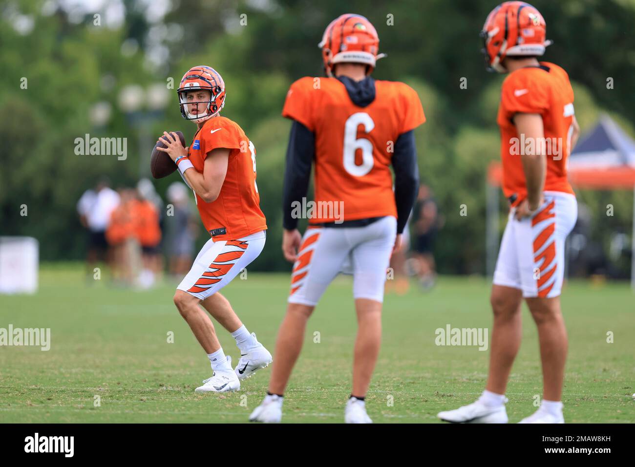 Cincinnati Bengals quarterback Joe Burrow drops back to pass during NFL ...
