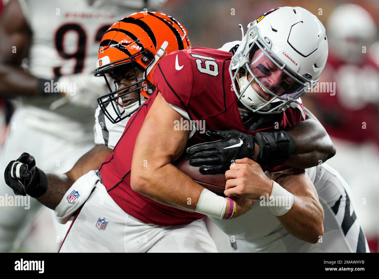Arizona Cardinals quarterback Trace McSorley (19) plays during an NFL ...
