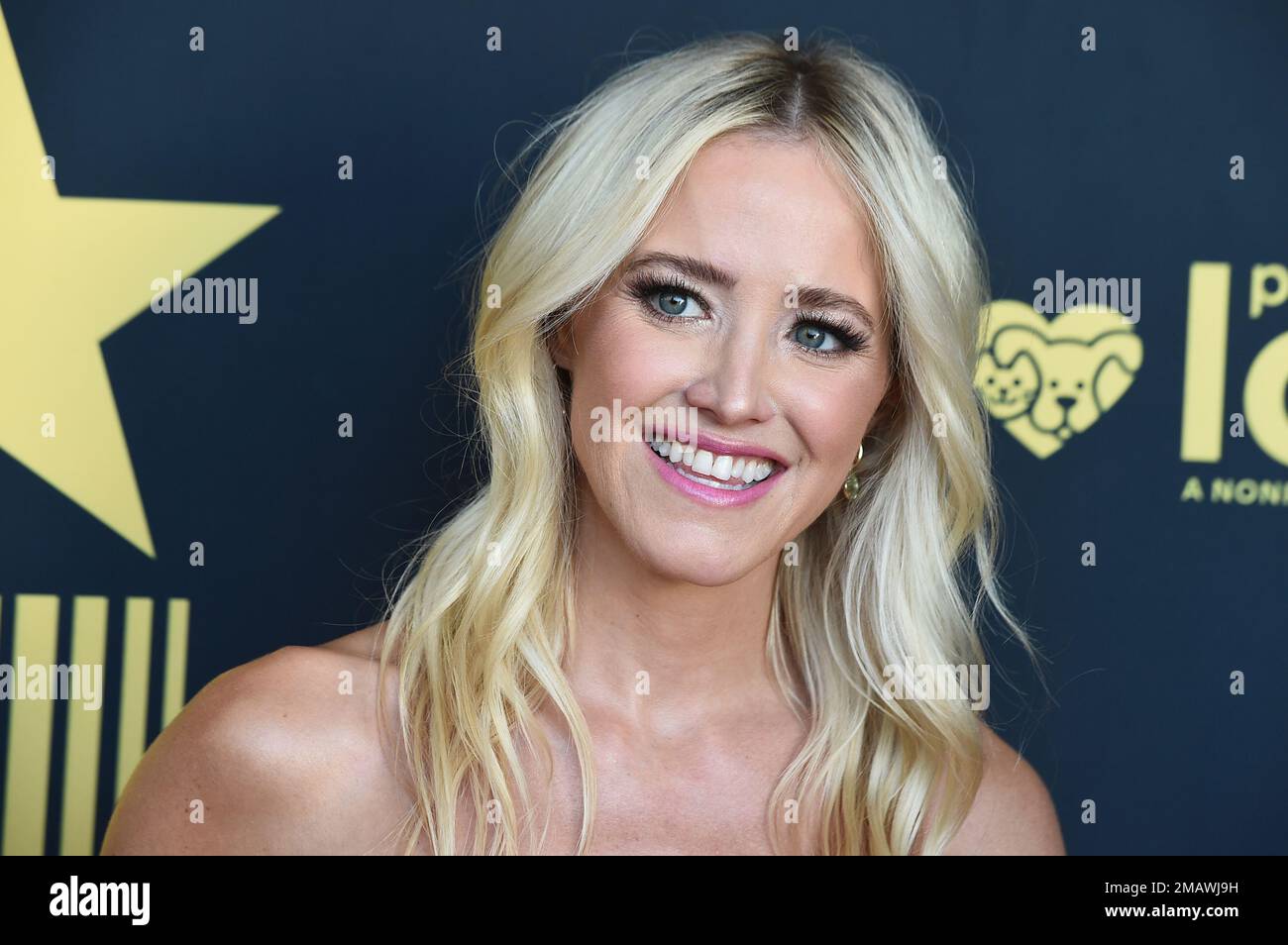 Liz Day arrives at the 2nd annual Hollywood Critics Association TV ...