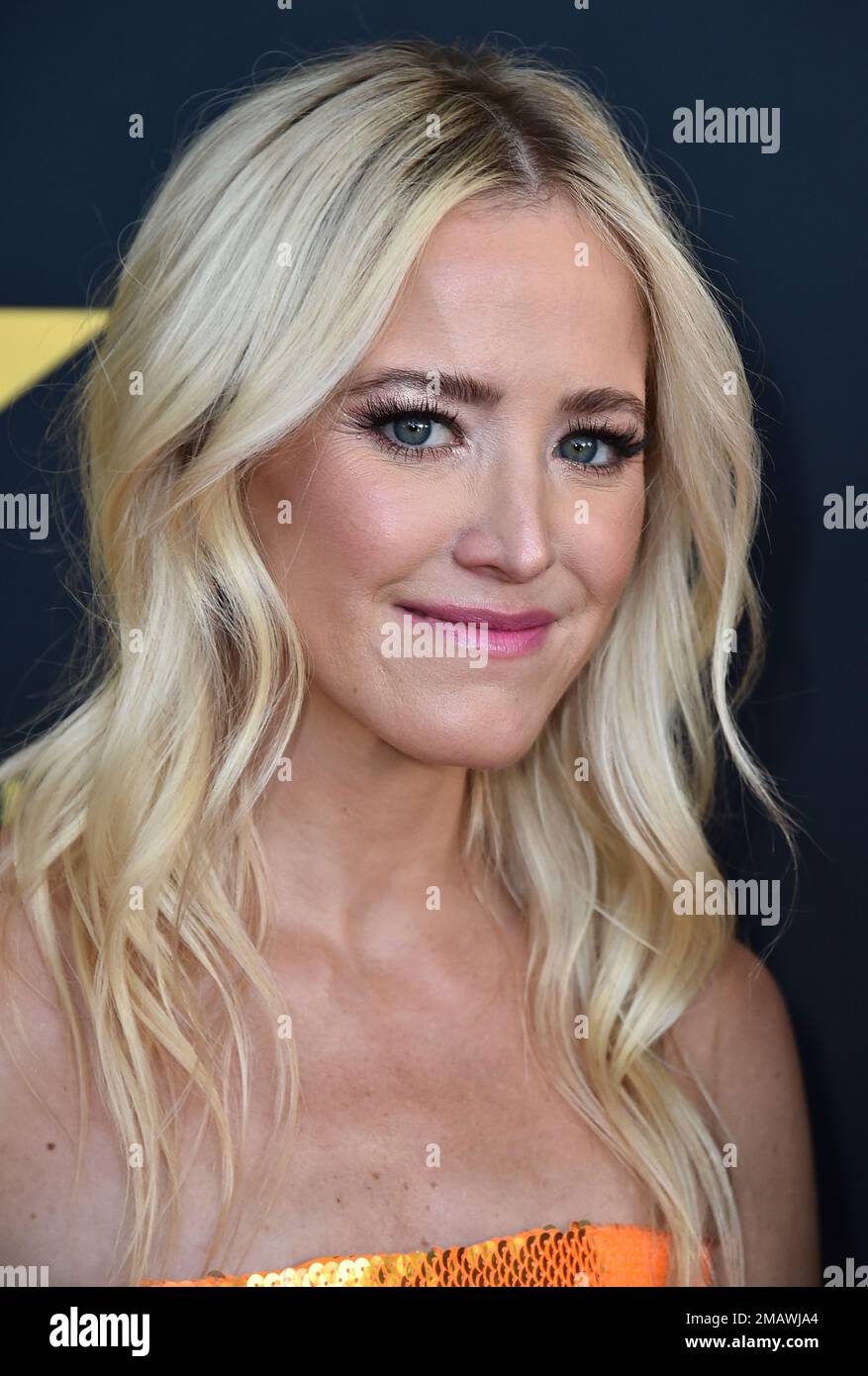 Liz Day arrives at the 2nd annual Hollywood Critics Association TV ...