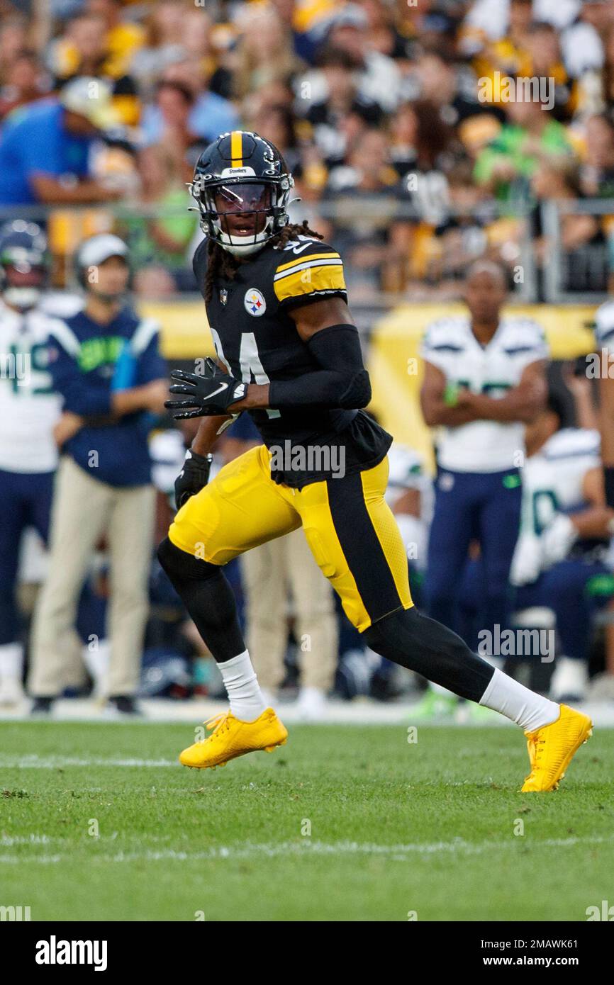 Pittsburgh Steelers safety Terrell Edmunds (34) defends during a ...