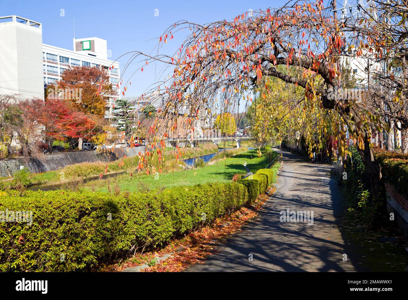 Townscape of Morioka, Iwate prefecture, Tohoku, Japan Stock Photo - Alamy