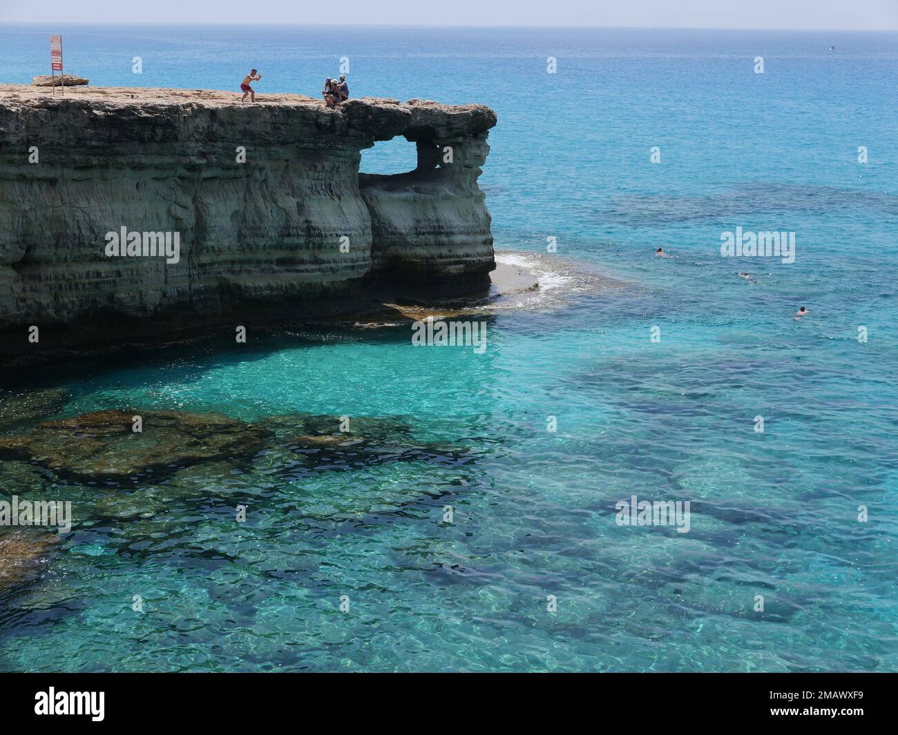 Cape seahorse hi-res stock photography and images - Alamy