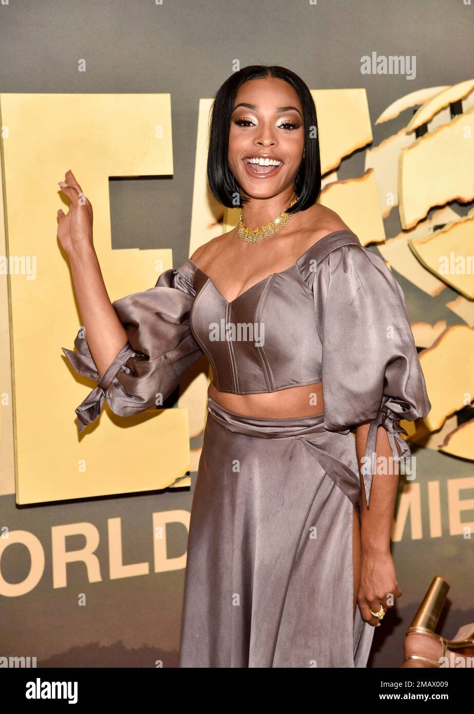 Journalist Jamila Mustafa attends the world premiere of "Beast" at the ...