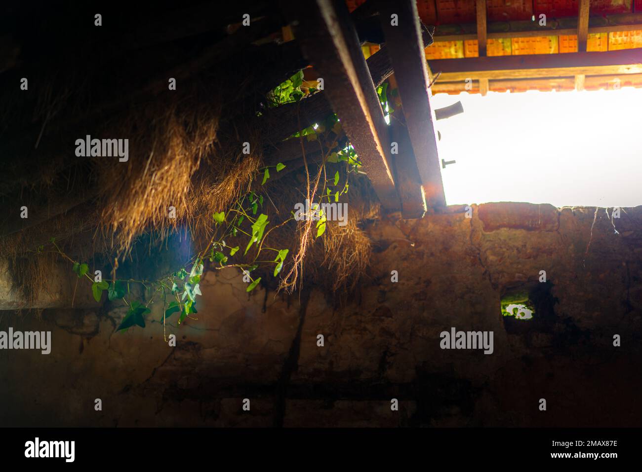 Holes in the top of the wall are the only light source for the barn ...