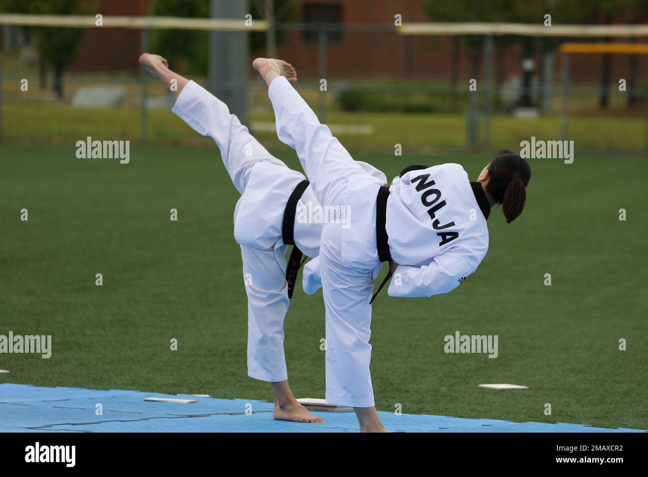 Tkd Wallpaper 2022