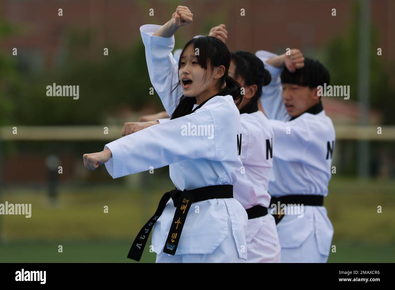 Korean Taekwondo Wallpaper