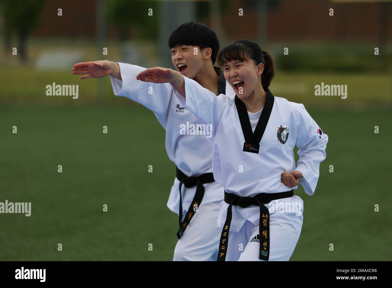 South Korean Taekwondo Weapons