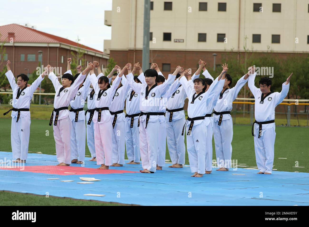 South Korean Taekwondo Weapons