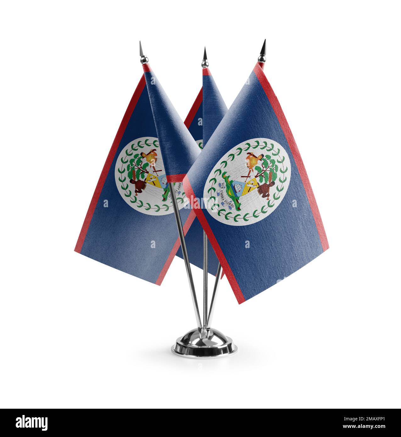Small national flags of the Belize on a white background Stock Photo ...