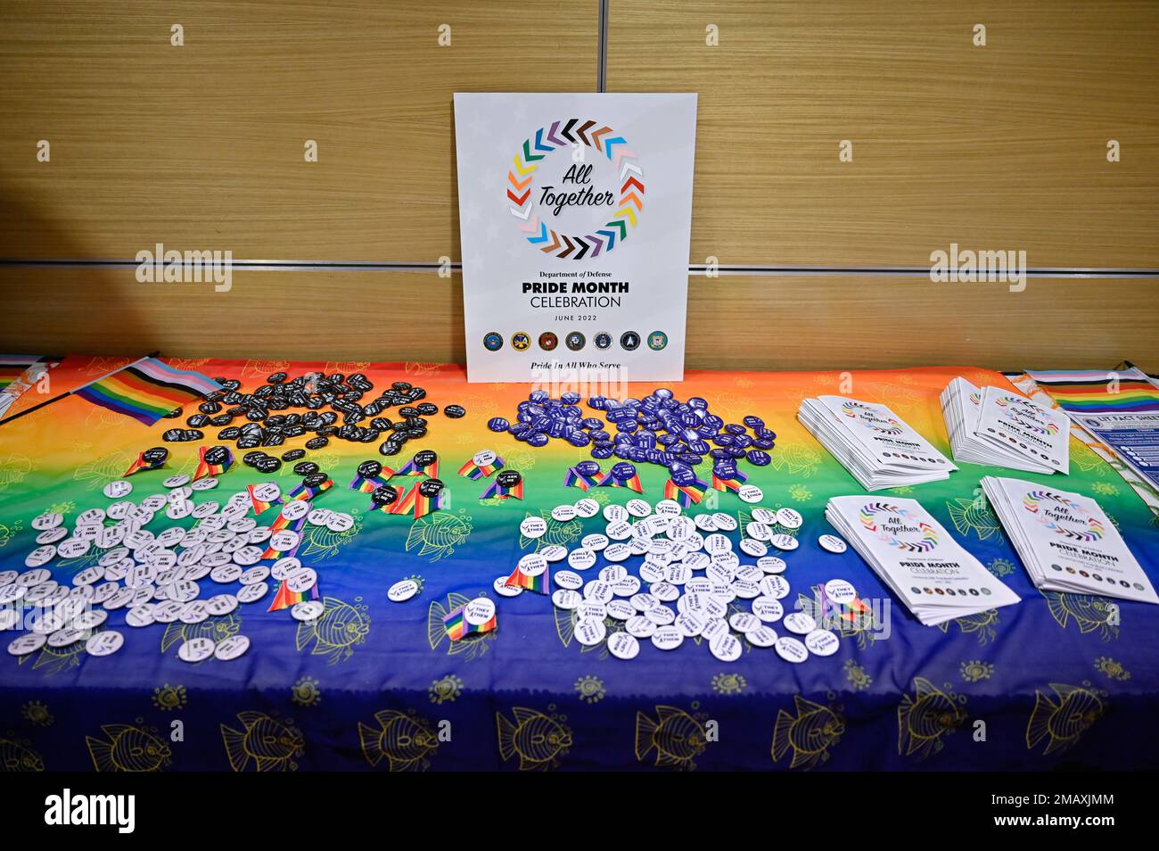 Buttons and programs are displayed before a Department of Defense Pride ...