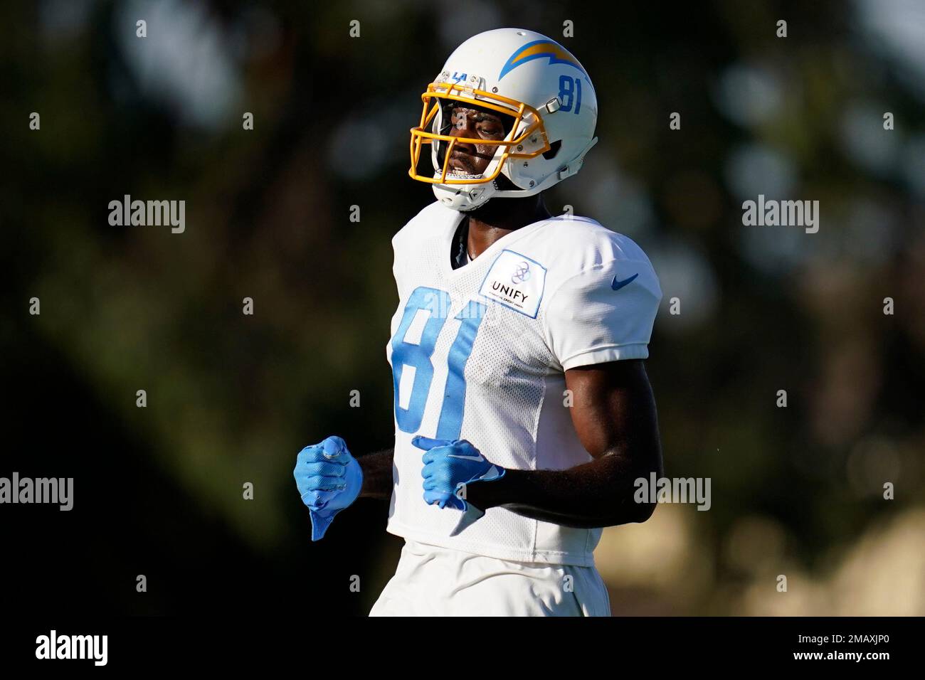 Los Angeles Chargers wide receiver Mike Williams (81) participates in ...