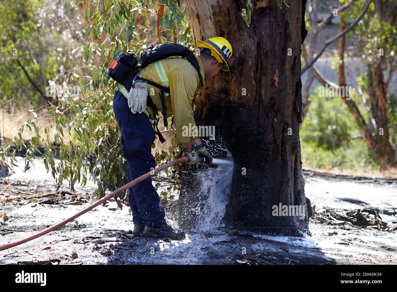 Los Angeles firefighter Eric Martinez douses the inside of a burning ...