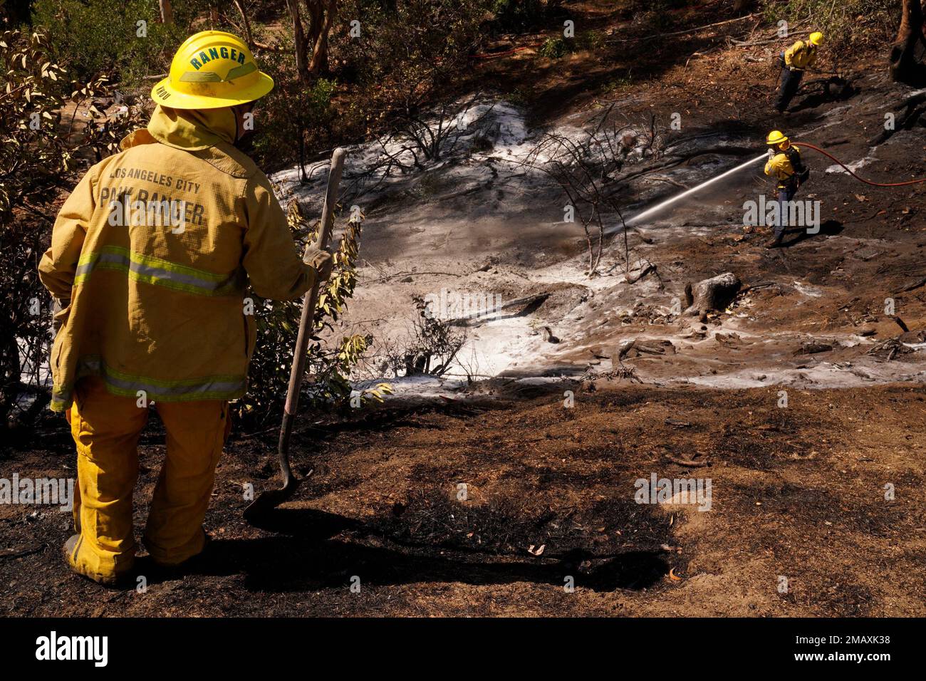 Los Angeles City Griffith Park Ranger Larry Chou assists to contain a ...
