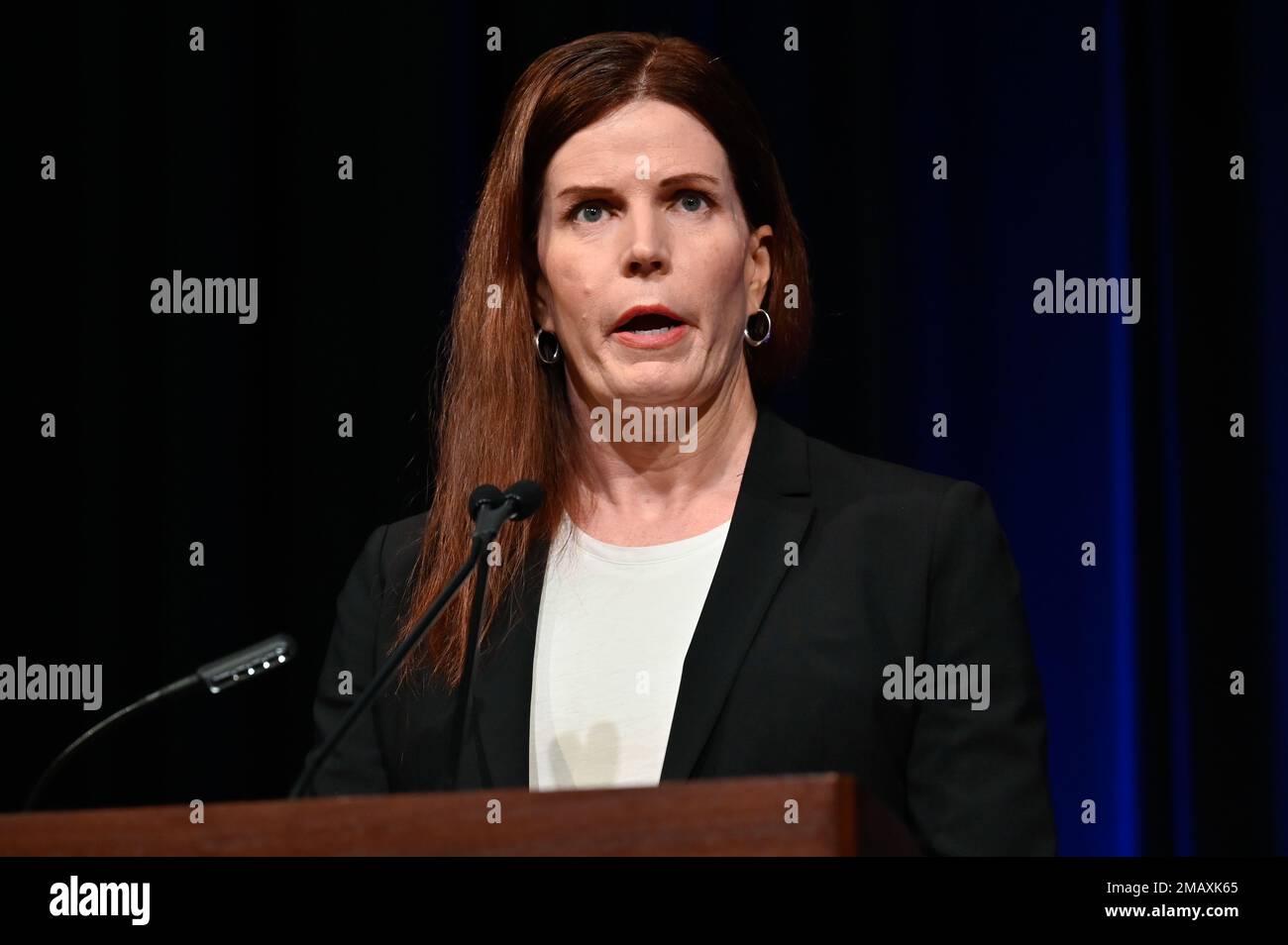 Assistant Secretary of Defense for Readiness Shawn Skelly speaks during ...