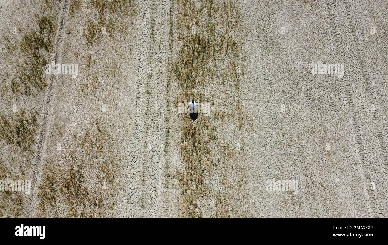 Elisa Moretto walks on her a dried rice field, in Porto Tolle, Italy ...