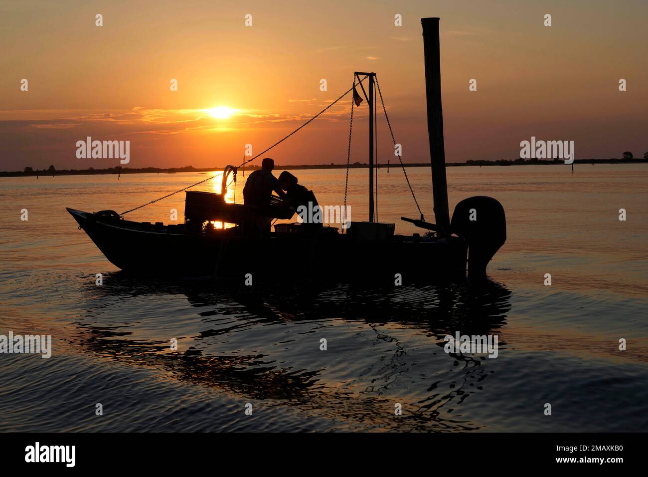 Fishers work gathering clams off Pila, Italy, on the Adriatic Sea which ...
