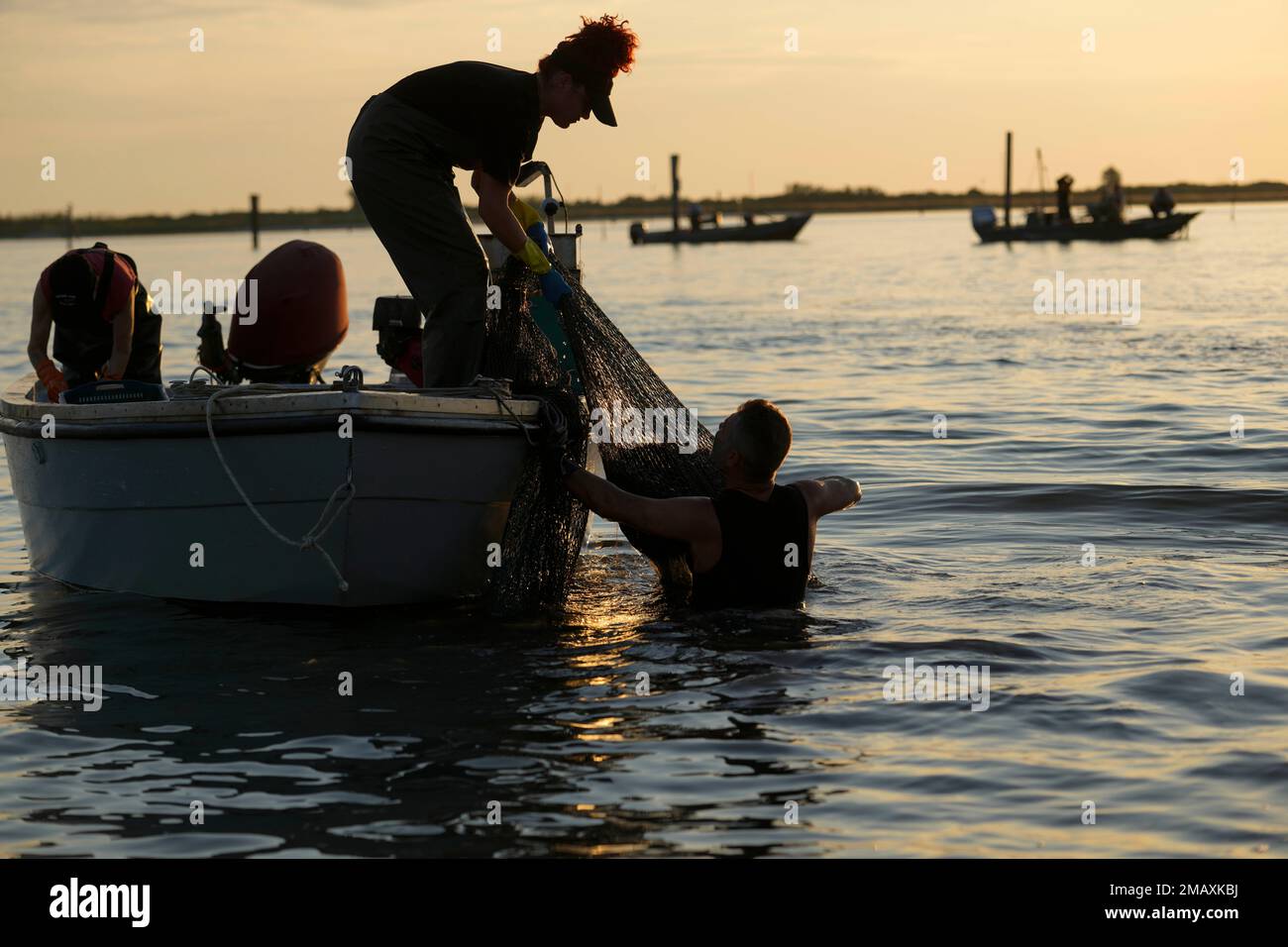 Fishers work gathering clams off Pila, Italy, on the Adriatic Sea which ...
