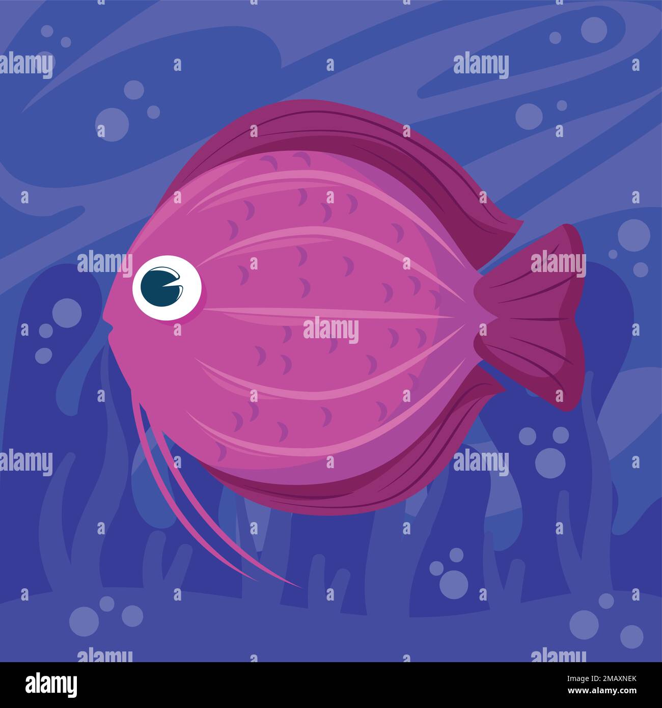 Exotic tropical fish purple Stock Vector Images - Alamy