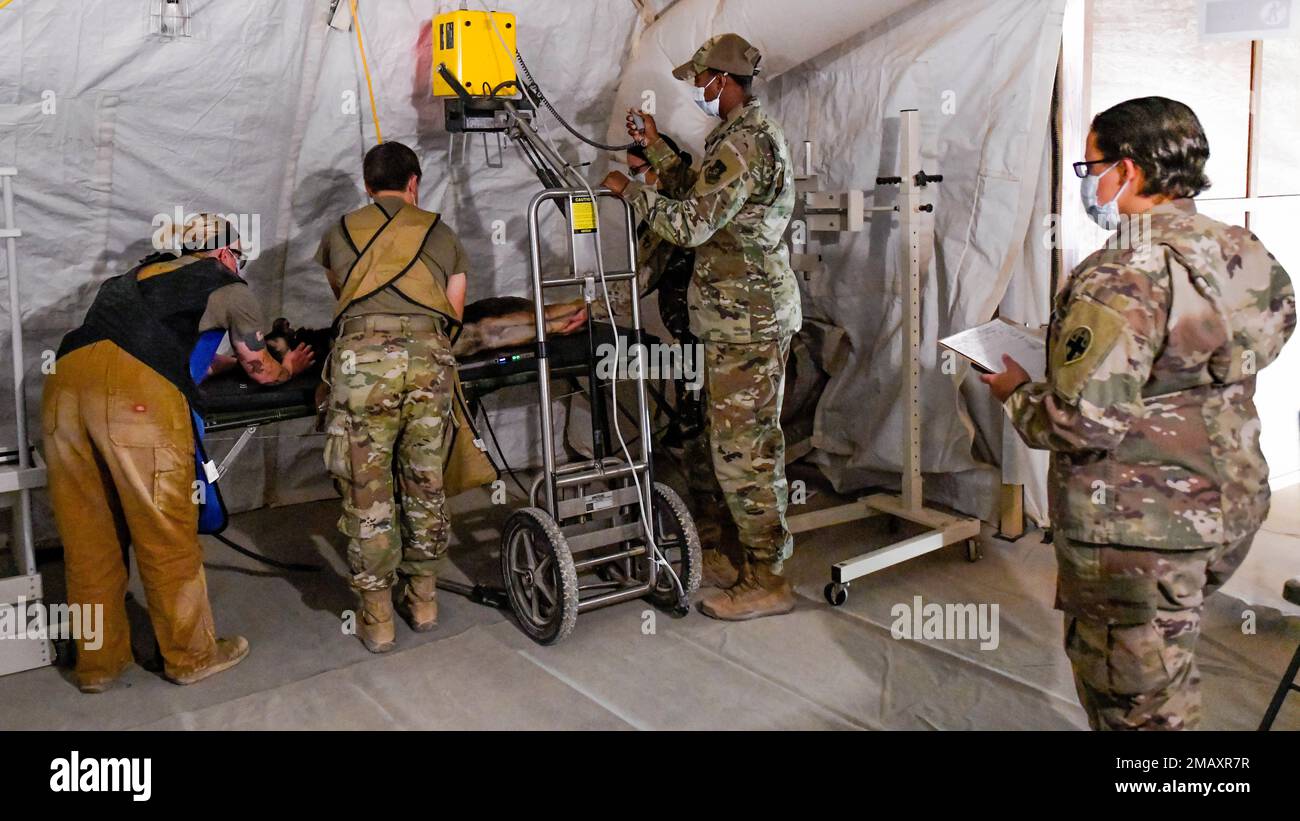 U.S. Soldiers with the 169th Medical Detachment Veterinary Services ...
