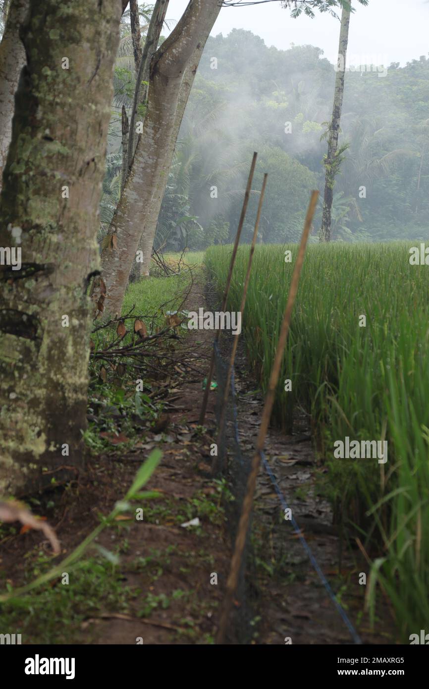 Portraitpicture hi-res stock photography and images - Alamy