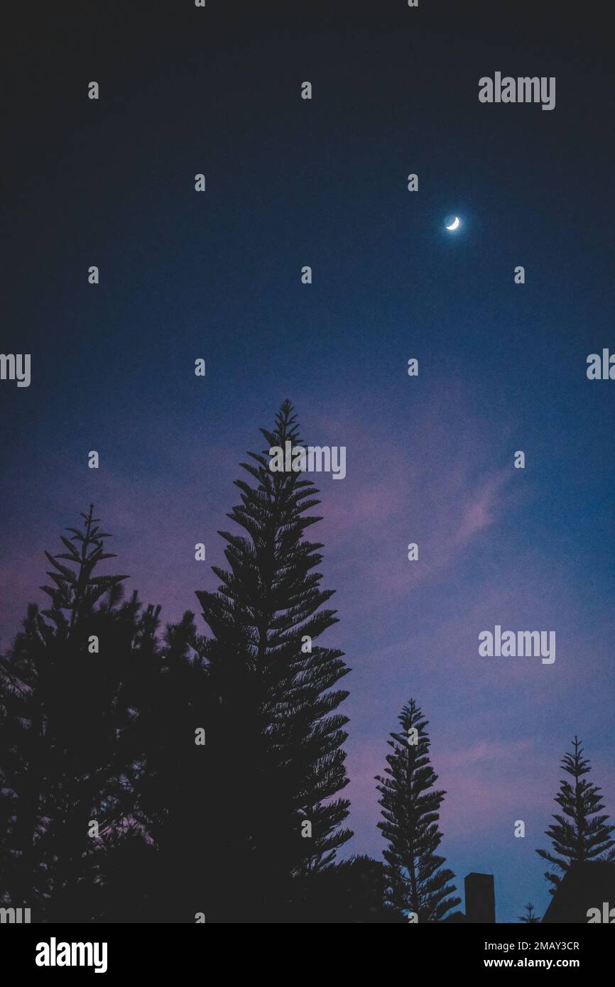 A beautiful view of a night sky with crescent moon over trees Stock ...