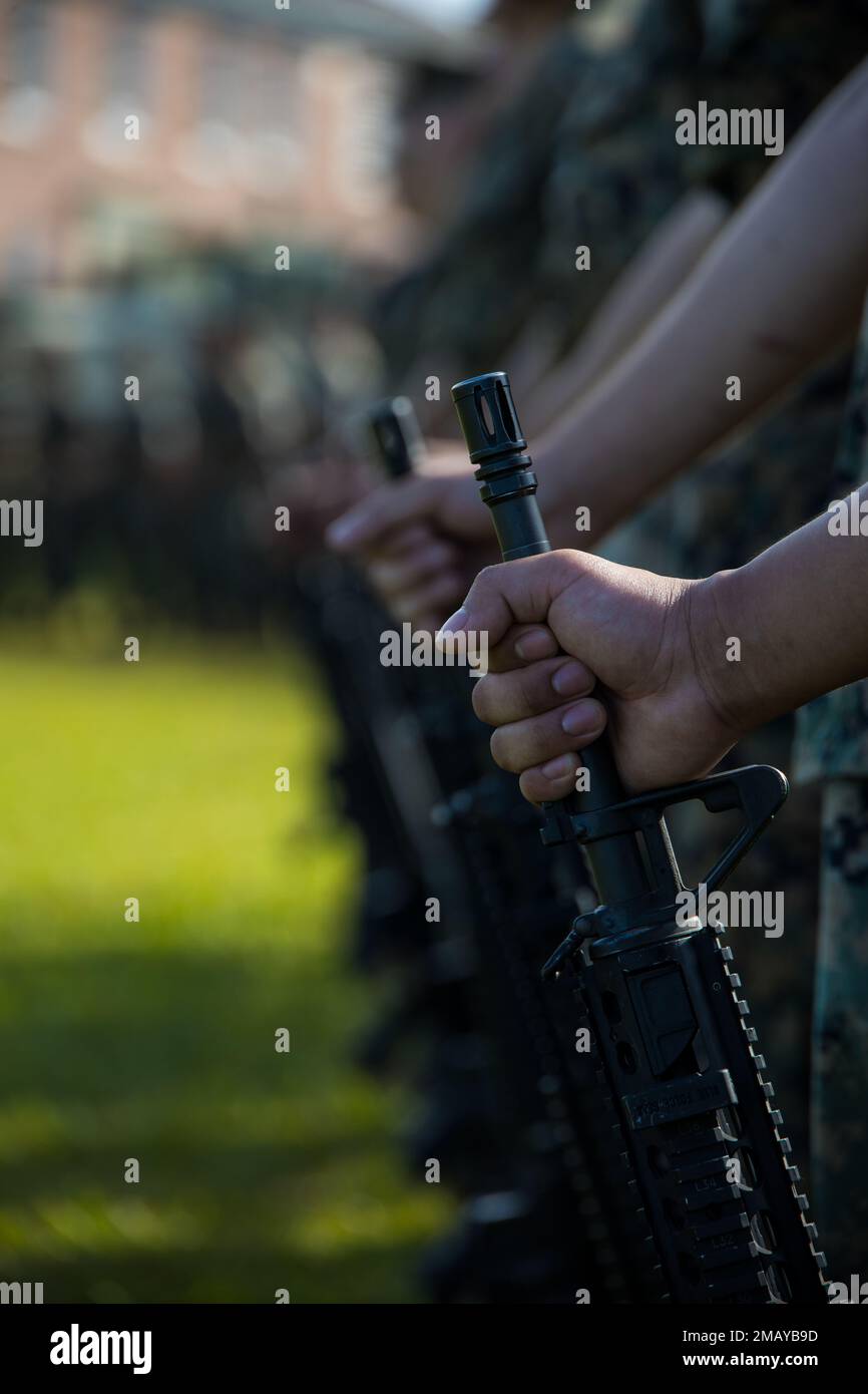 U.S. Marines from 2nd Marine Logistics Group stand at parade rest ...