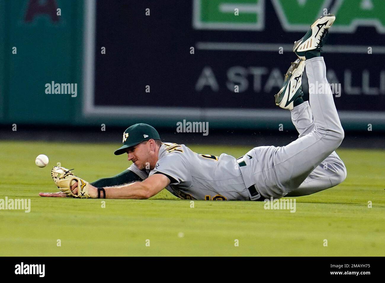 Oakland Athletics right fielder Stephen Piscotty dives but cannot make ...
