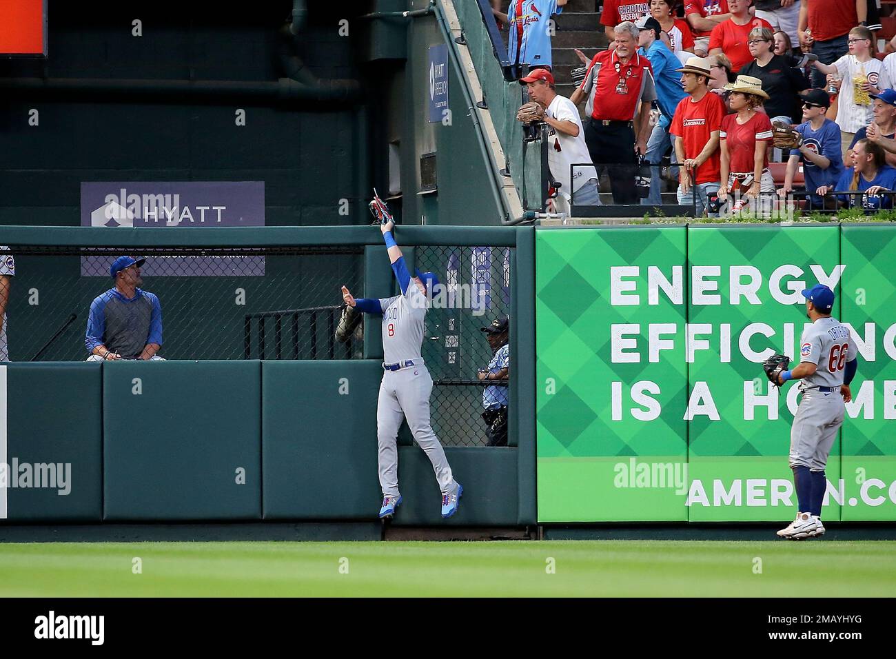 Chicago Cubs left fielder Ian Happ (8) catches a fly ball at the wall ...