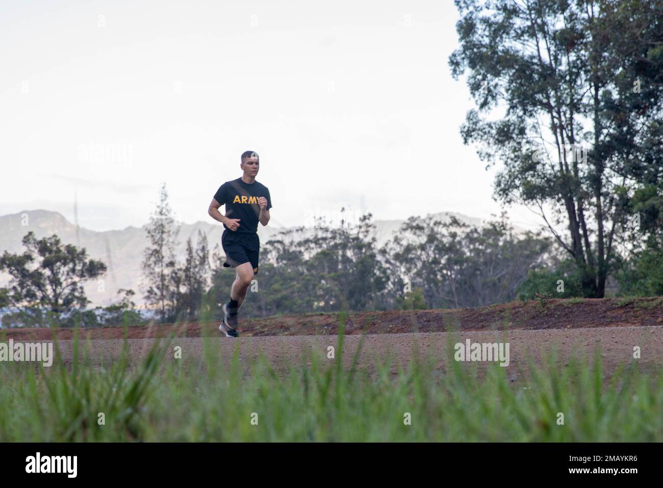 Pfc. Nolan Murray, a nodal network systems operator-maintainer assigned ...