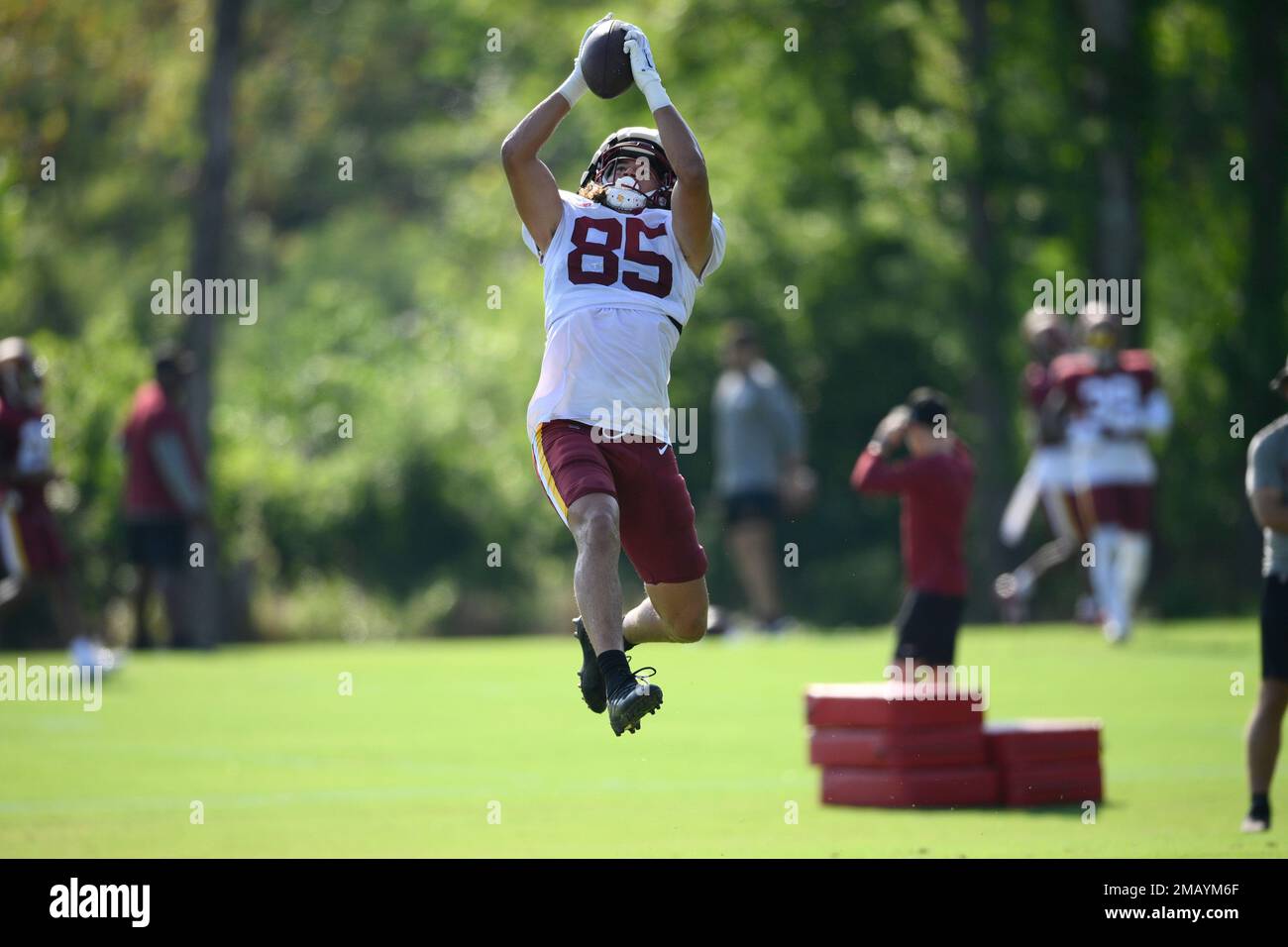 Washington Commanders tight end Cole Turner (85) in action during ...