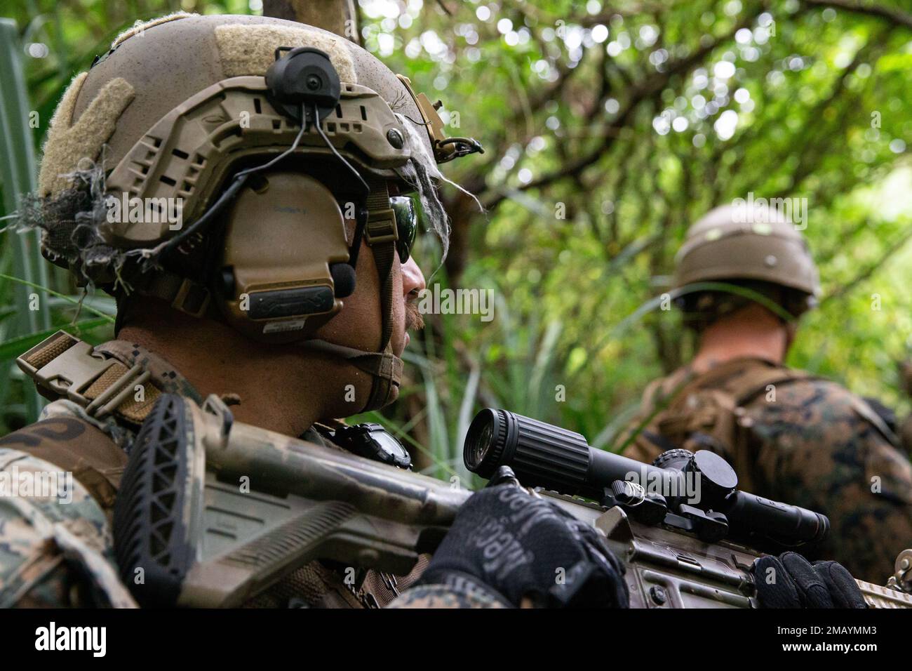 U.S. Marines with Battalion Landing Team (BLT) 2/5, 31st Marine ...