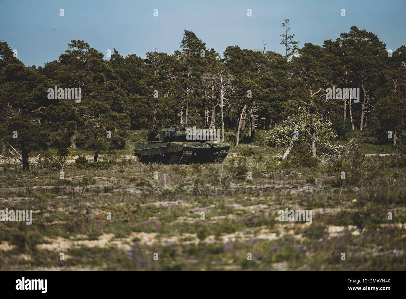 GOTLAND, Sweden (June 8, 2022) Swedish mechanized infantry participate ...