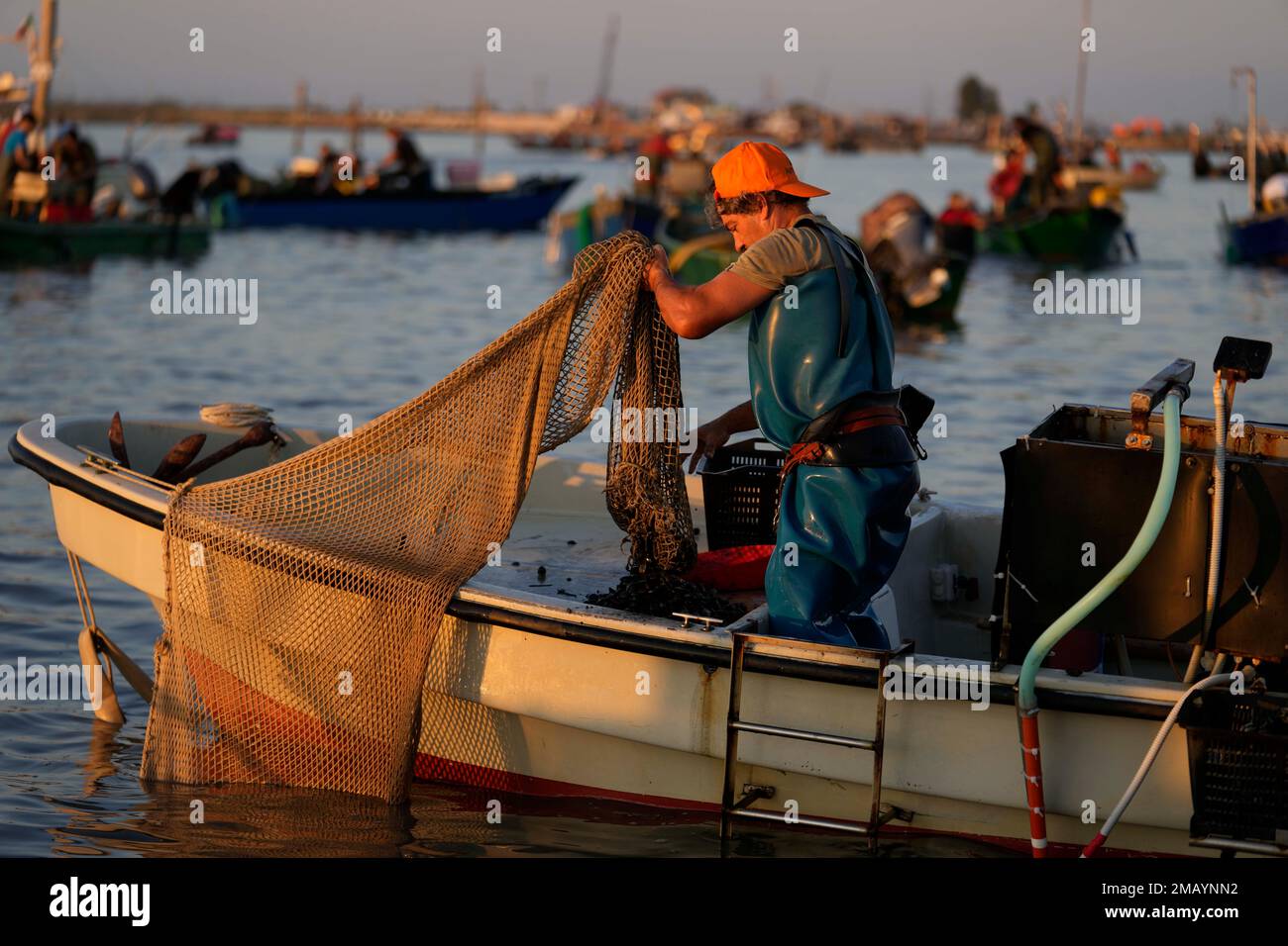 Fishers work gathering clams in Pila, Italy, on the Adriatic Sea which ...
