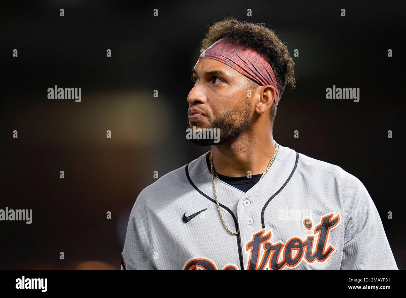 Detroit Tigers' Victor Reyes looks on after striking out against the ...