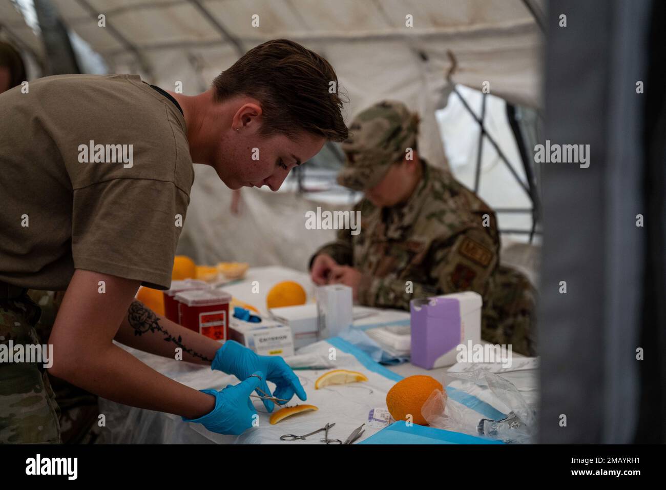 Suturing on a orange hi-res stock photography and images - Alamy