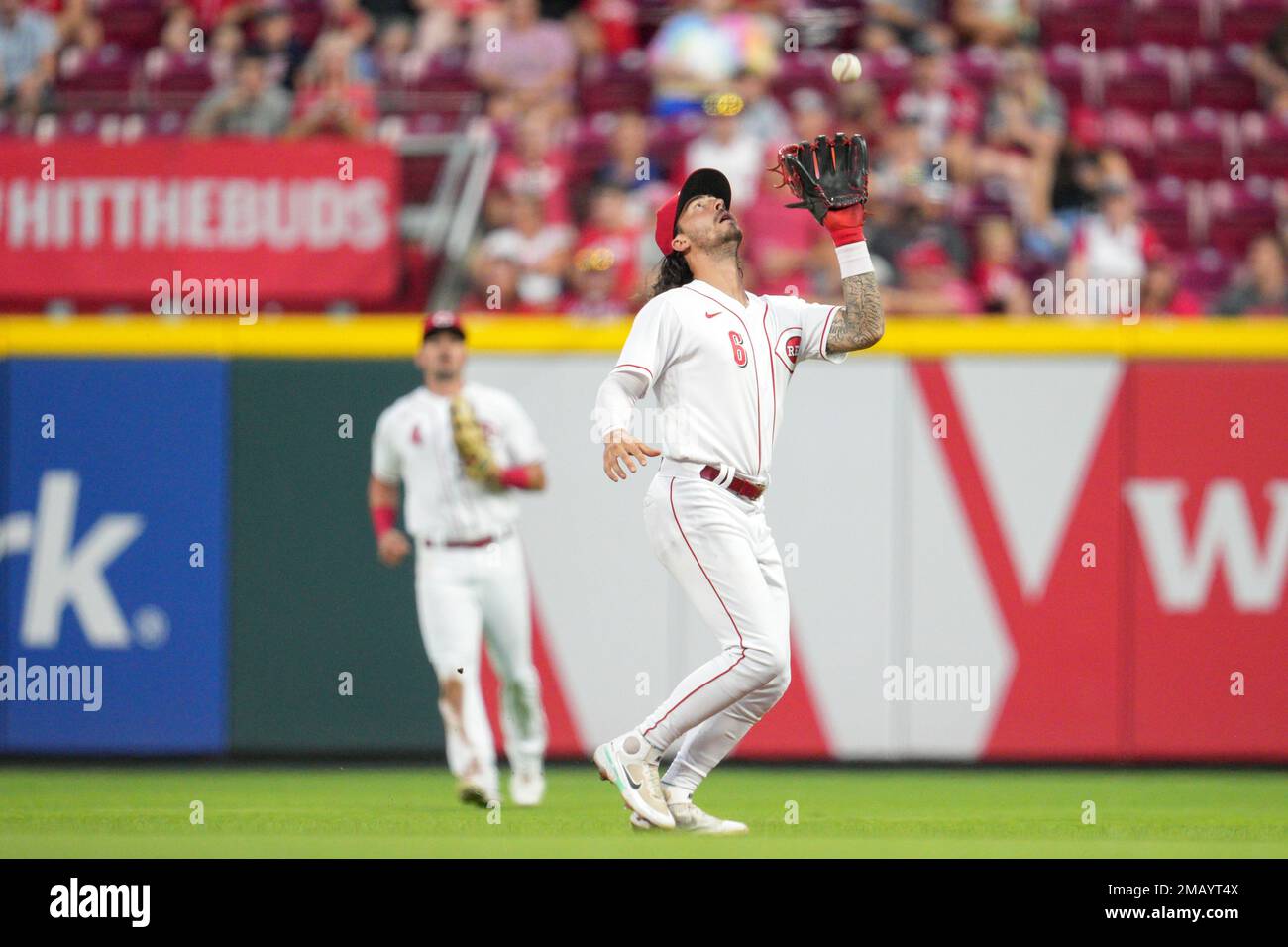 Cincinnati Reds second baseman Jonathan India (6) plays during a ...