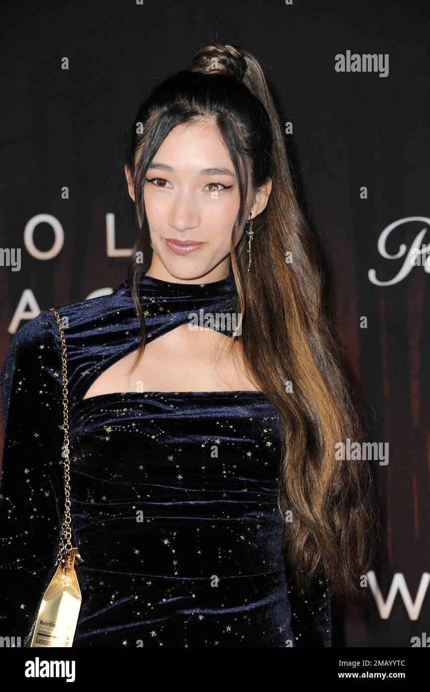 Los Angeles, CA. 19th Jan, 2023. Amy Workman at arrivals for WOLF PACK ...