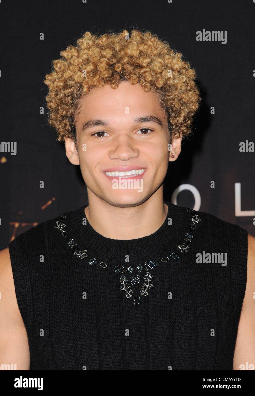 Jackson wolf hi-res stock photography and images - Alamy