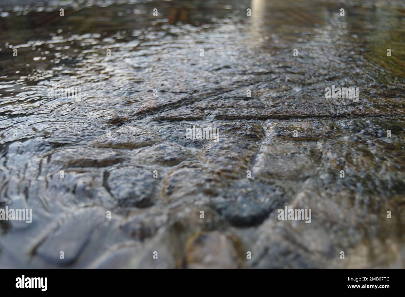 Green ceramic floor tile hi-res stock photography and images - Alamy