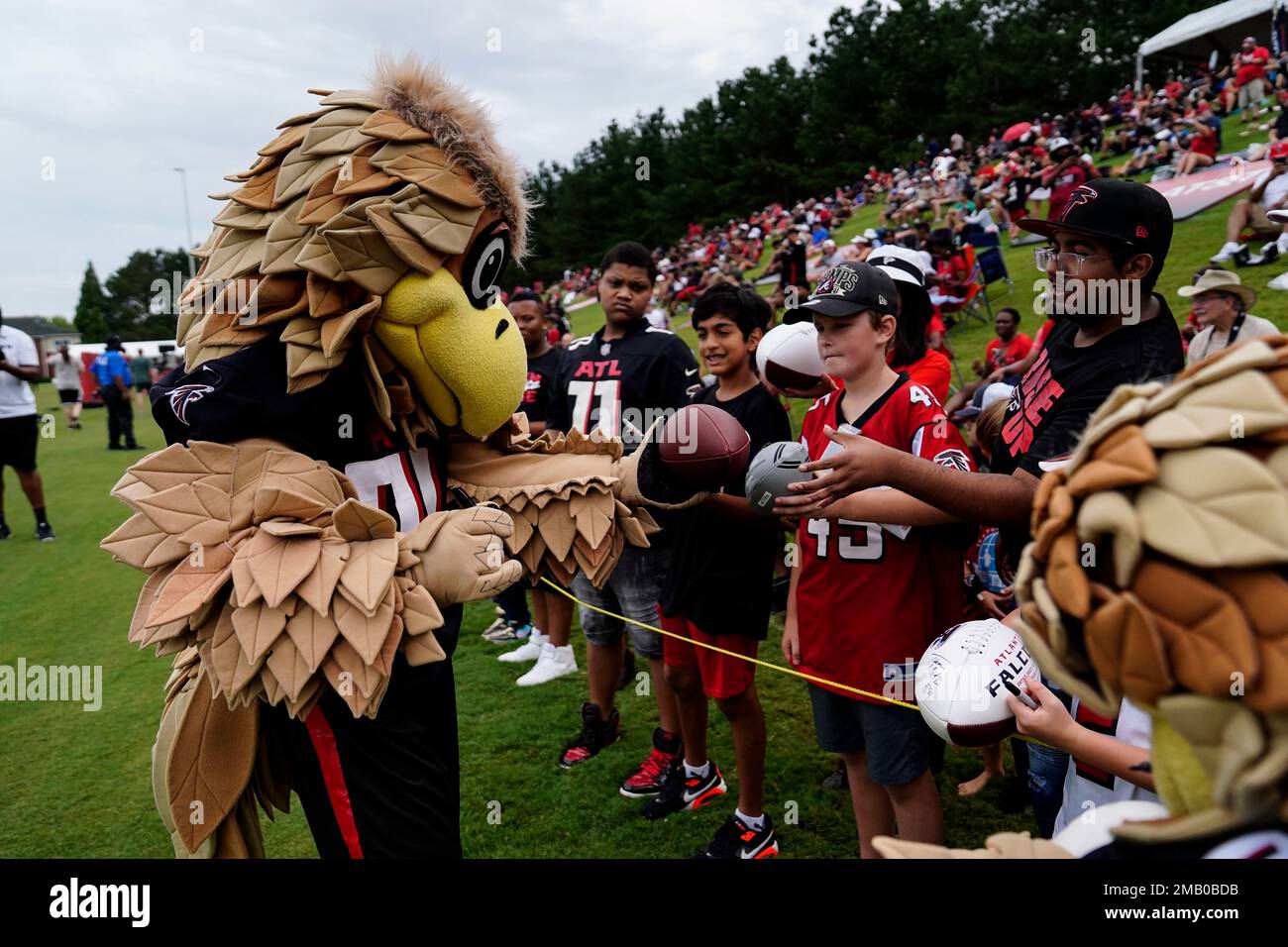 Atlanta Falcons Freddie Falcon