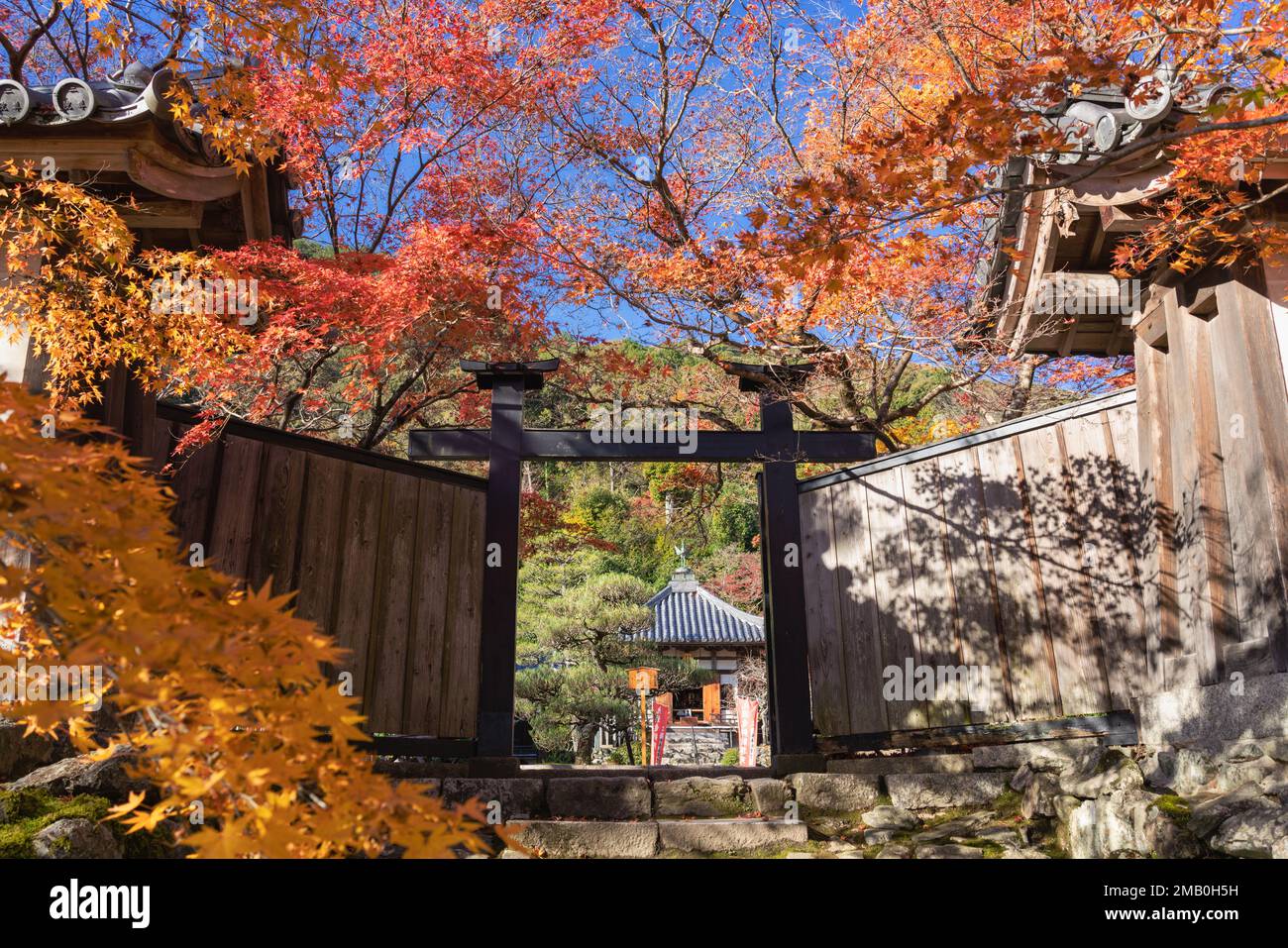 Kyoto, Japan - November 25, 2022 : Arashiyama Nison-in Temple with ...