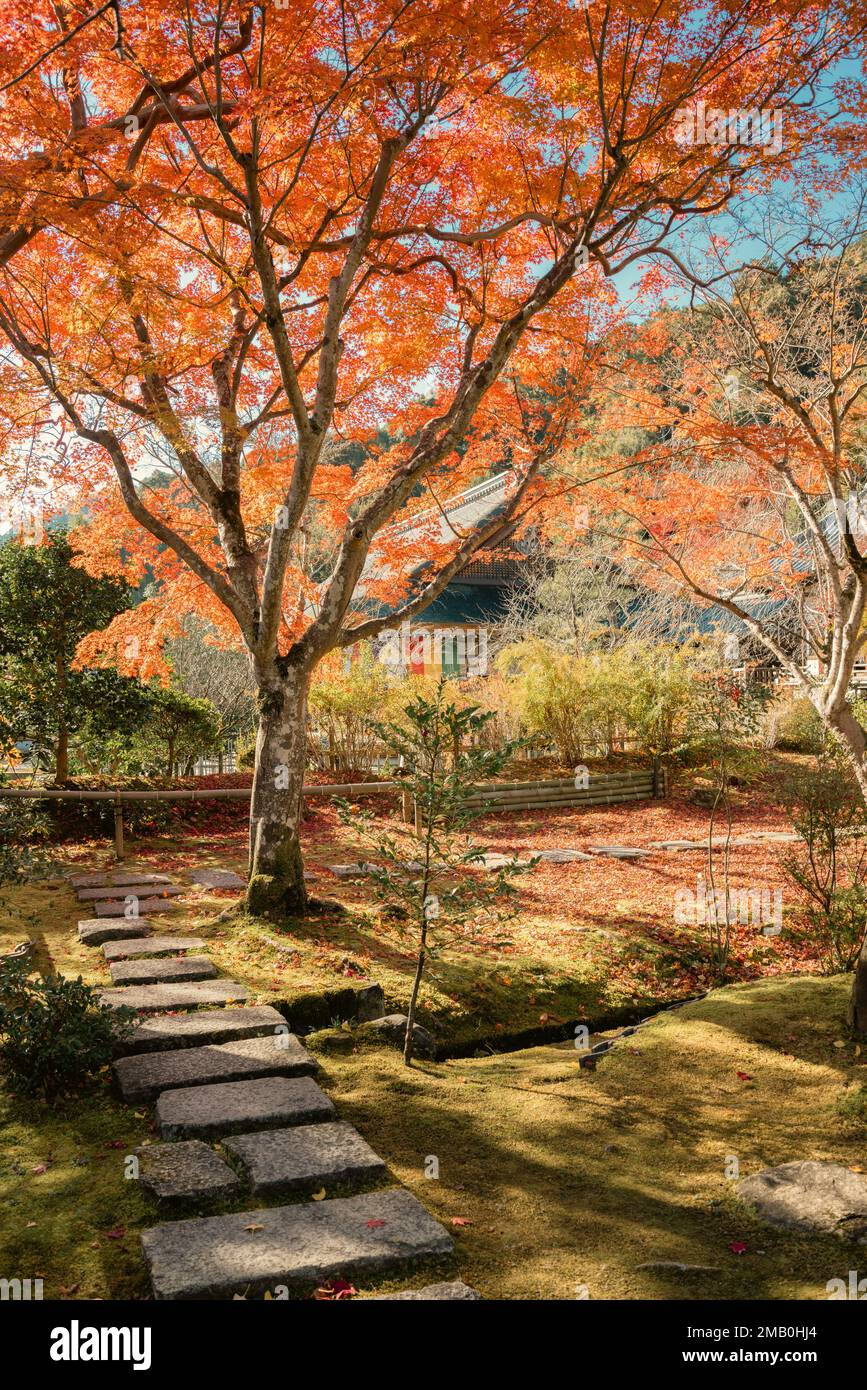 Nisonin temple hi-res stock photography and images - Alamy