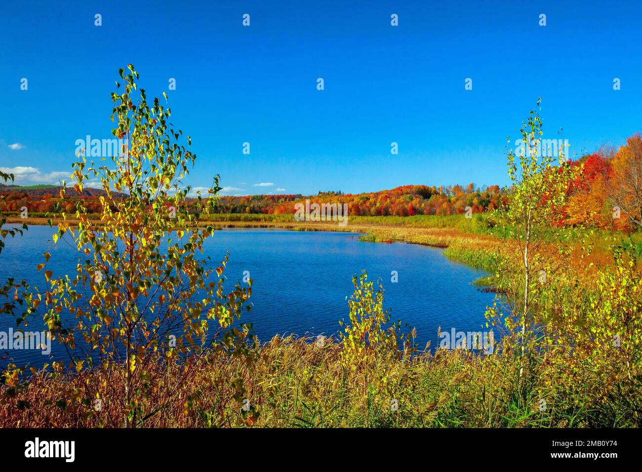 Pennsylvania fish and boat hi-res stock photography and images - Alamy