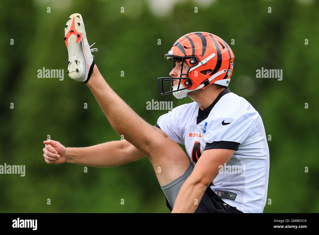 Cincinnati Bengals' Drue Chrisman during a practice at the NFL football ...