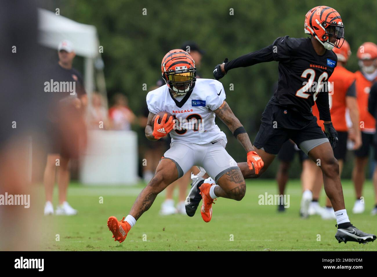 Cincinnati Bengals' Trayveon Williams carries the ball against Tycen ...