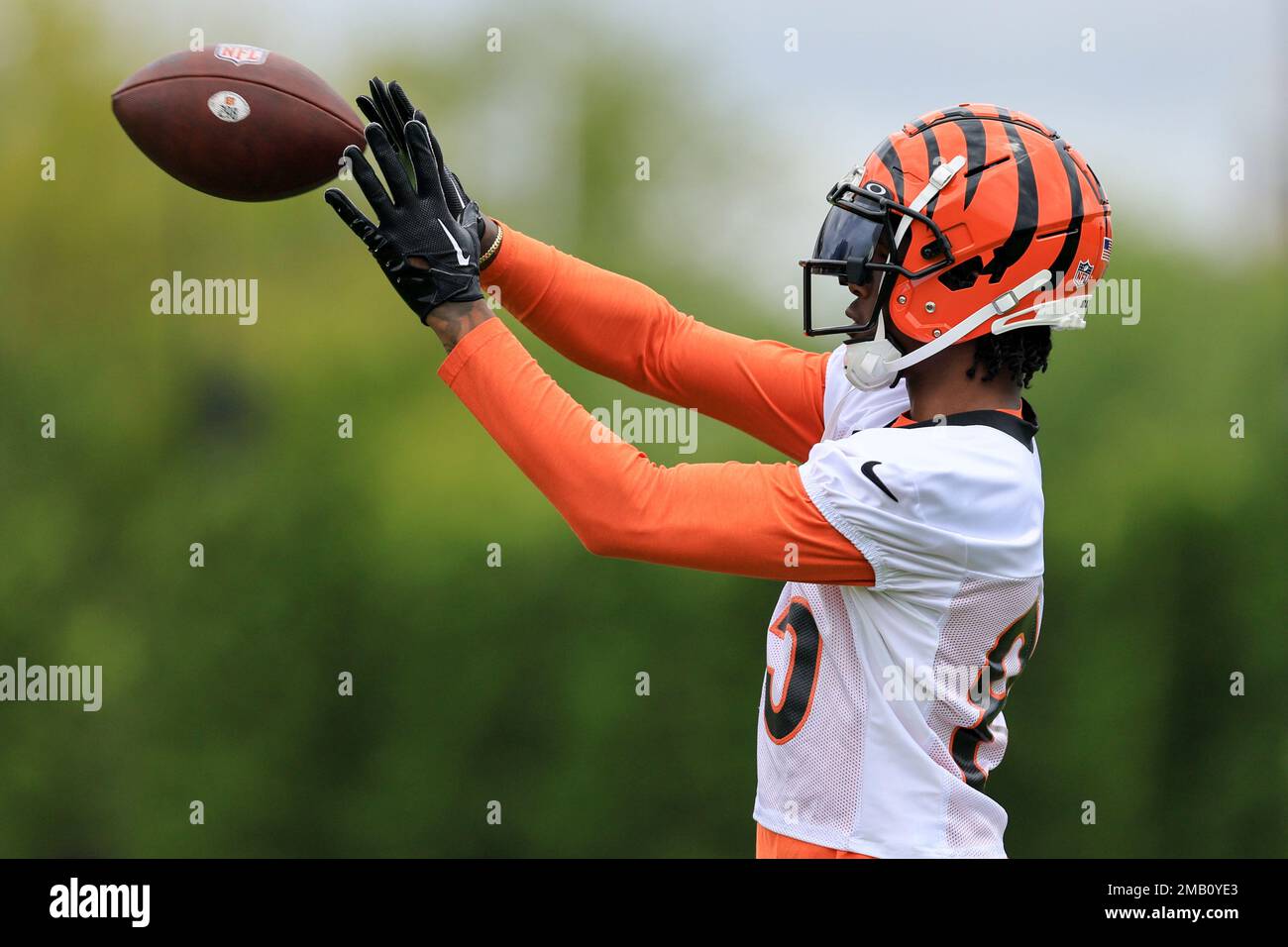 Cincinnati Bengals' Tee Higgins makes a catch in a drill during a ...