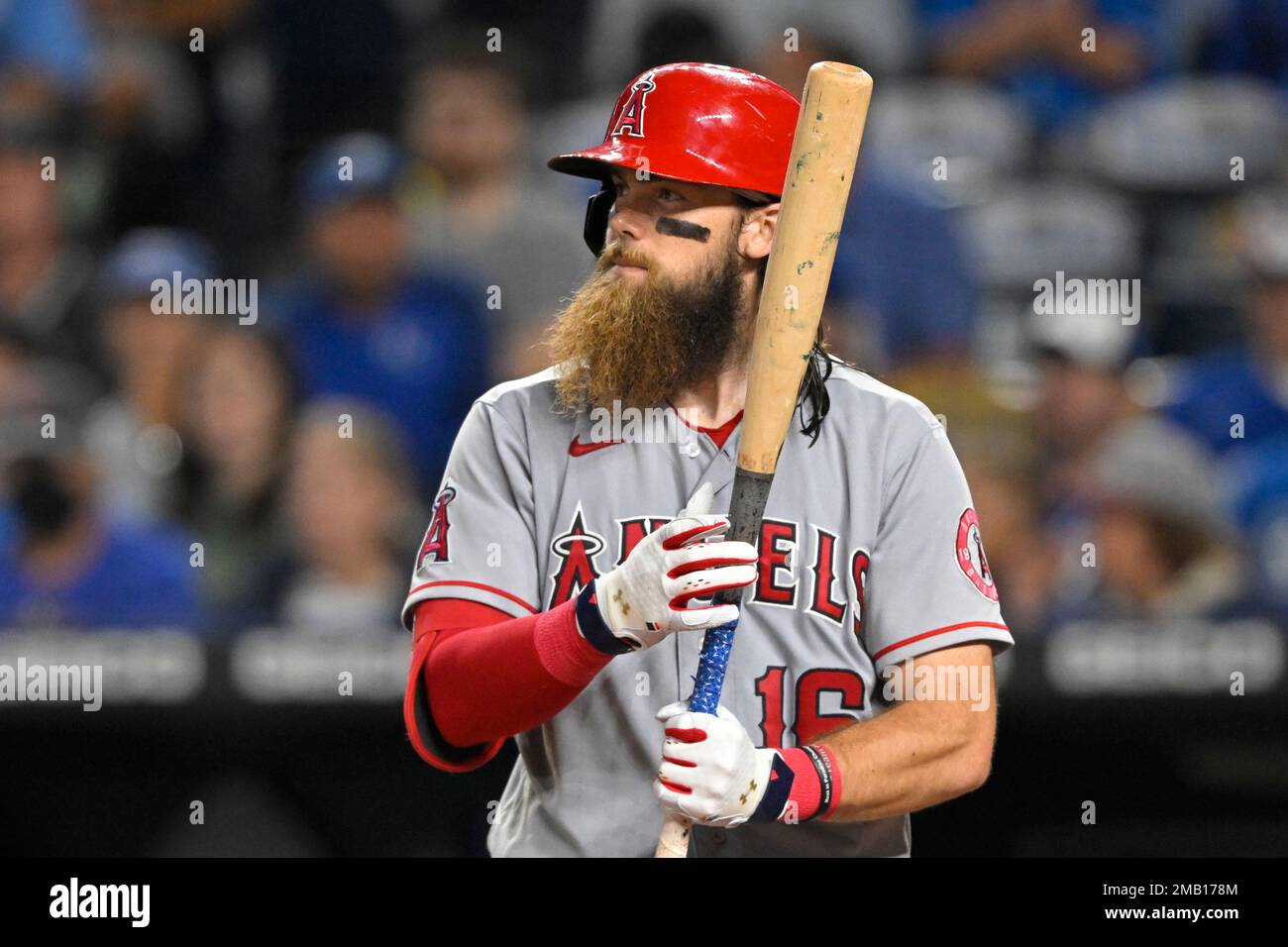 Los Angeles Angels' Brandon Marsh at bat against the Kansas City Royals ...
