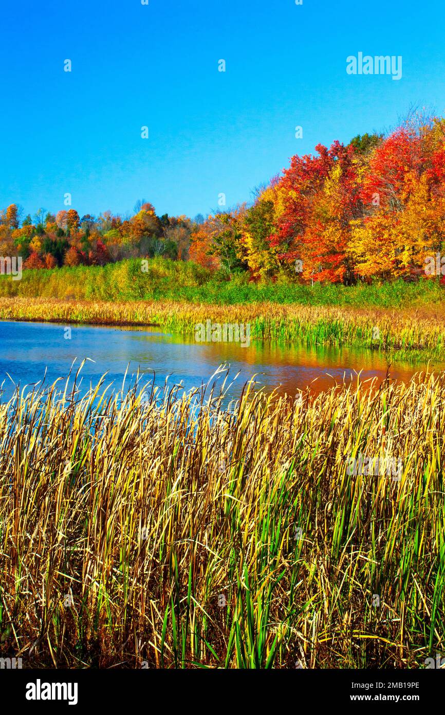 White Oak Pond is parly a natural and man-made lake in Wayne County ...