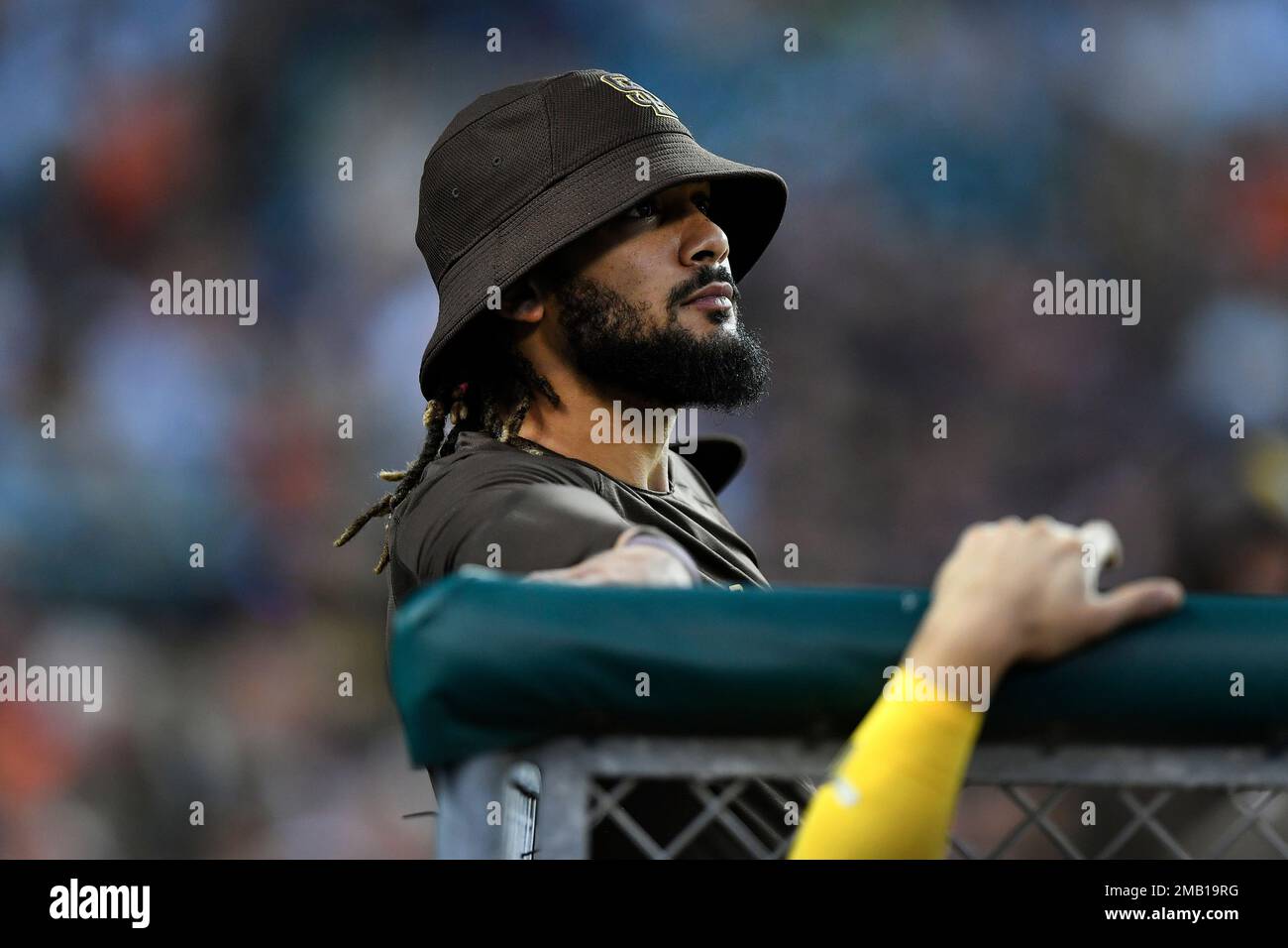 San Diego Padres' Fernando Tatis Jr. watches a baseball game from the ...